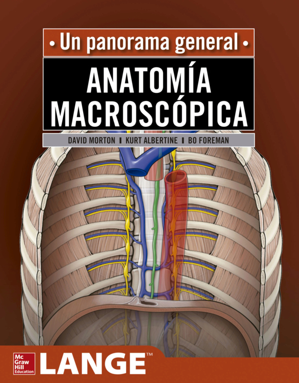 Morton. Anatomia macroscopica. Un panorama general LANGE