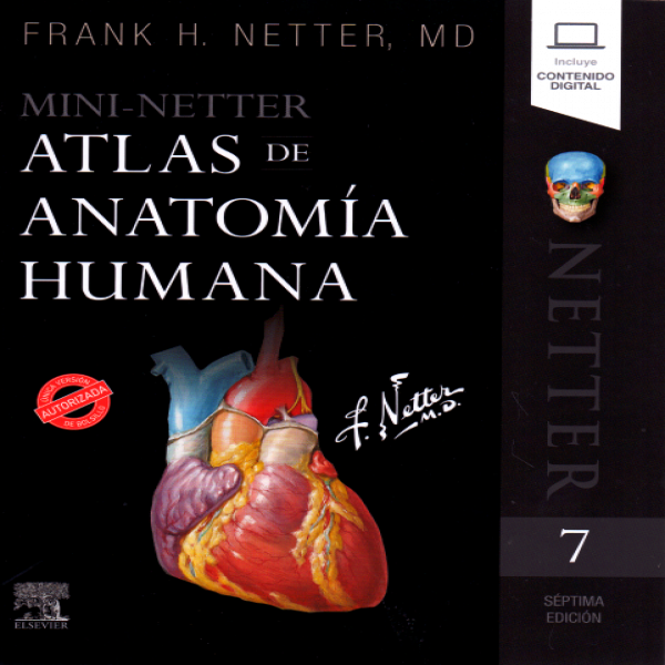 Mini-Netter. Atlas de anatomía humana