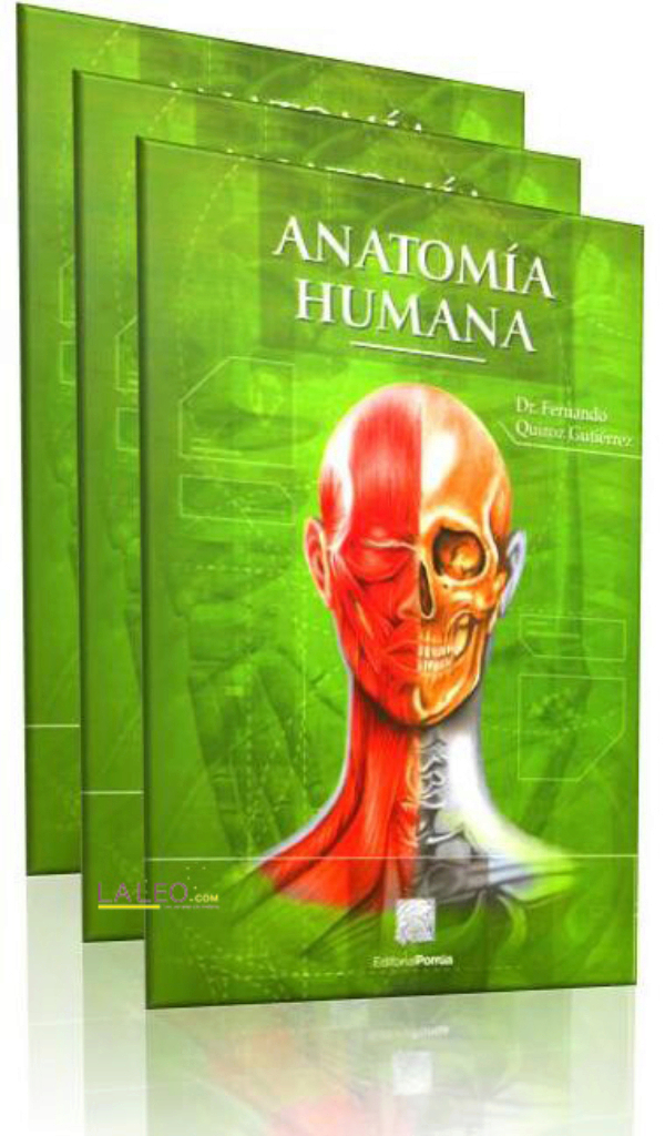 Quiroz. Anatomia Humana 3 Volumenes
