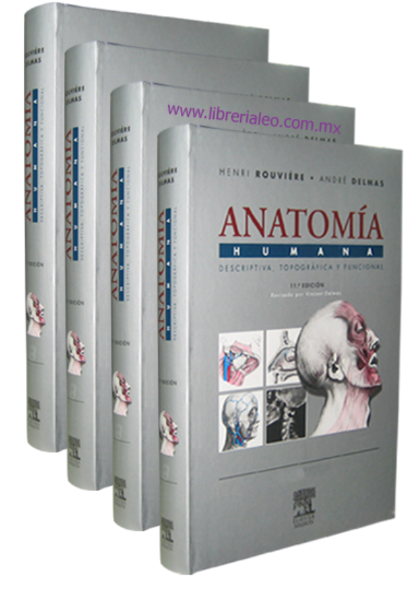 Rouviére. Anatomía Humana: Descriptiva, Topográfica y Funcional 4 Vol.