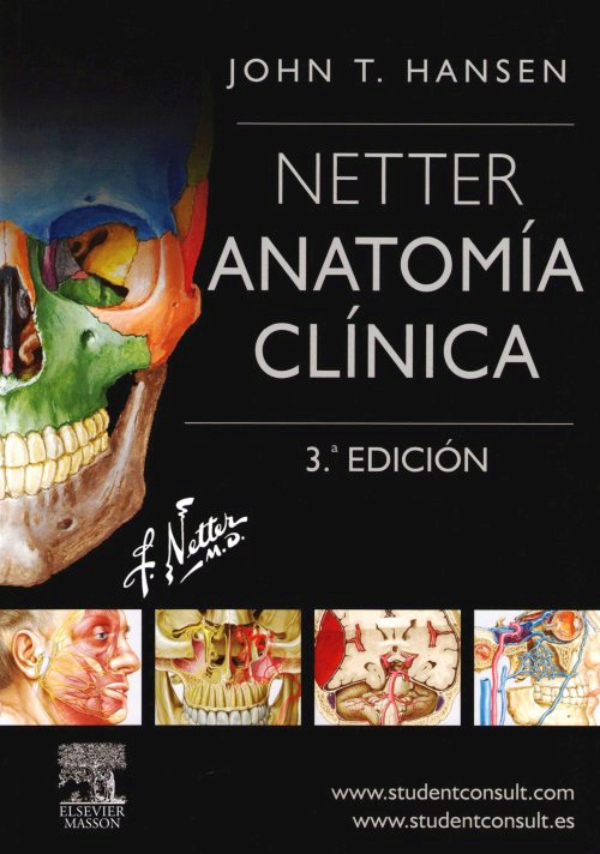 Netter. Anatomía Clínica