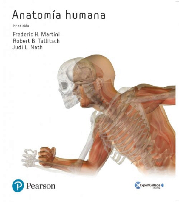 Martini Anatomía Humana