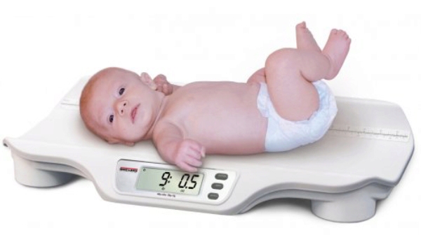 Báscula RL-DBS RICELAKE