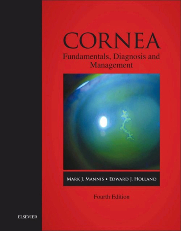 Cornea (ebook)