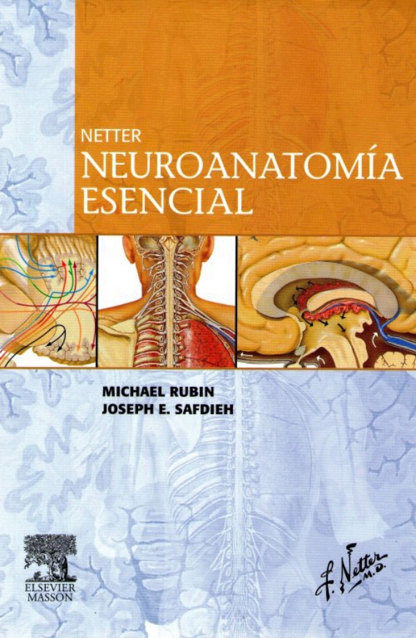 Netter. Neuroanatomía esencial